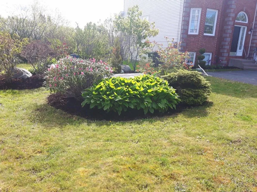 Как создать красивые клумбы во дворе частного дома: 100 идей дизайна на фото – «StroyLab ...