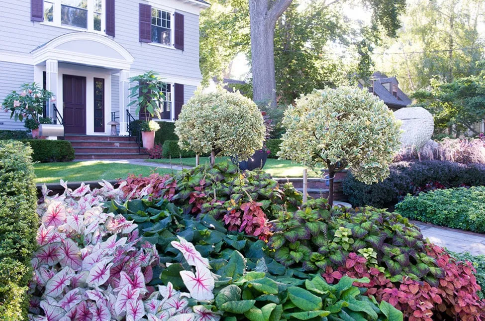 Как создать красивые клумбы во дворе частного дома: 100 идей дизайна на фото – «StroyLab ...