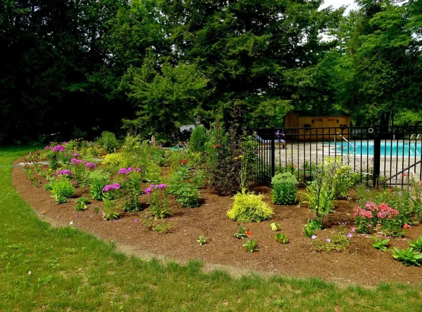 Как создать красивые клумбы во дворе частного дома: 100 идей дизайна на фото – «StroyLab ...