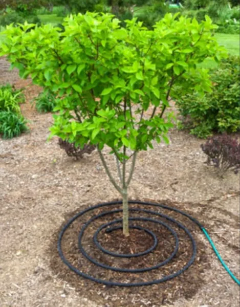 Система автополива своими руками для дачи: создаем эффективный автополив – «StroyLab» – портал о ...